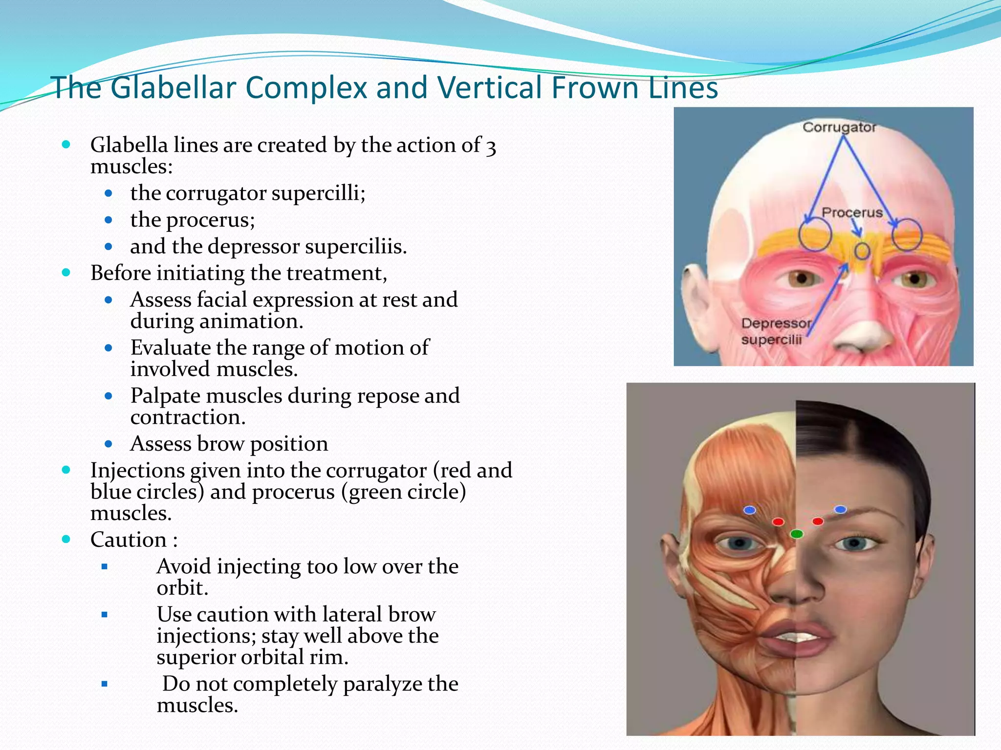 Botulinum toxin in dermatology ppt | PPTX