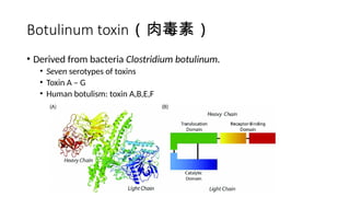 Botulinum toxin in treating chronic pain.pptx | Brain and Nervous ...