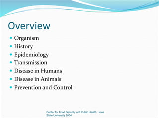 botulism.ppt............................. | PPT