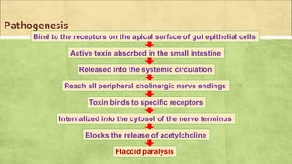 Botulism | PPT