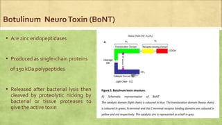 Botulism | PPT