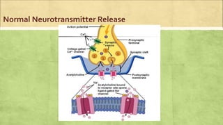 Botulism | PPT