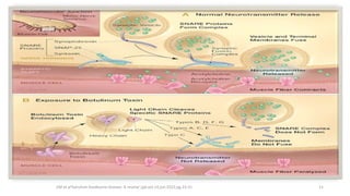 Botulism Foodborne Disease.pptx