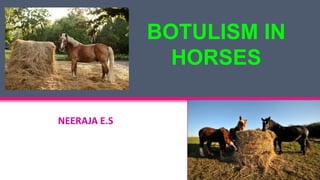 Botulism in horses | PPT