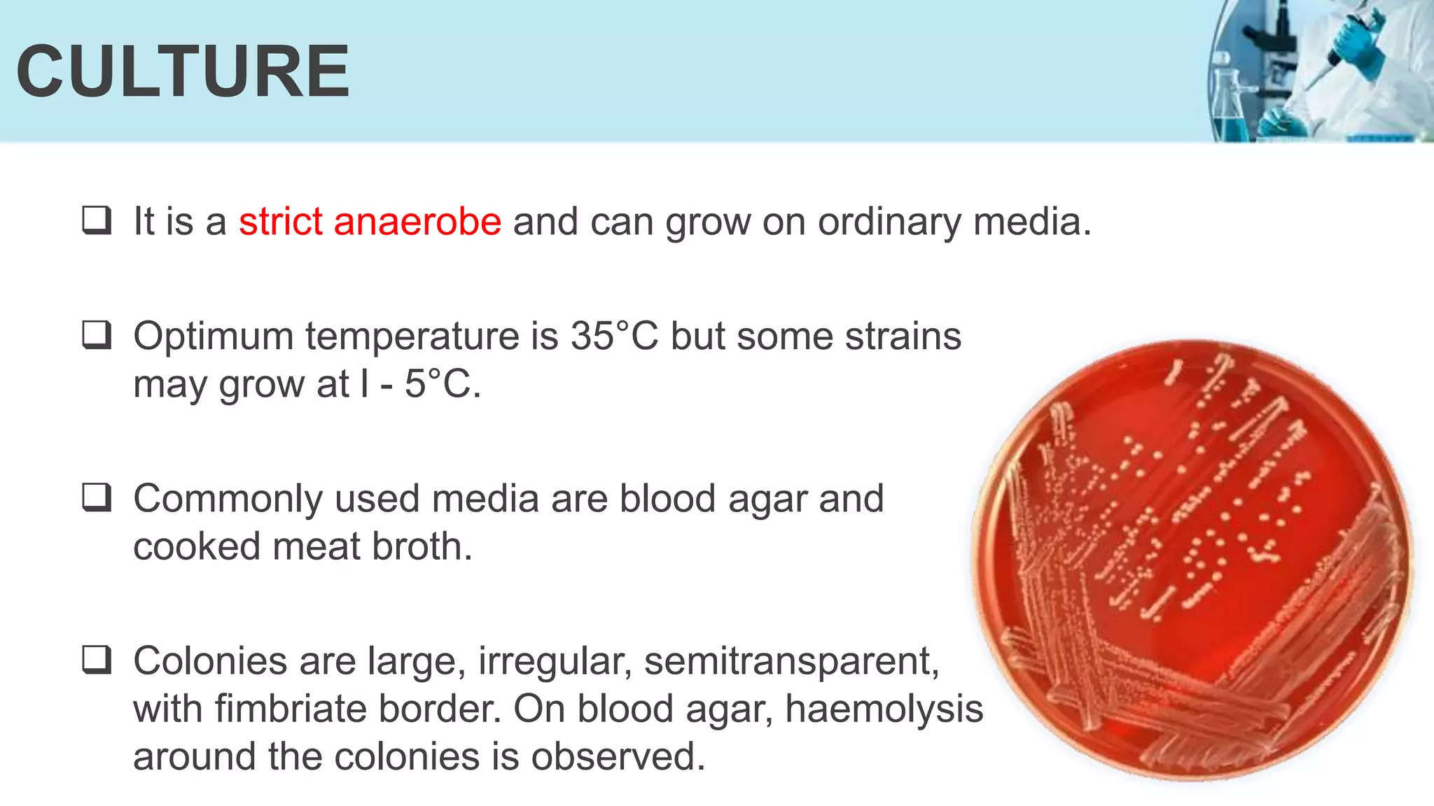 Botulism, Food Poisoning | PPTX
