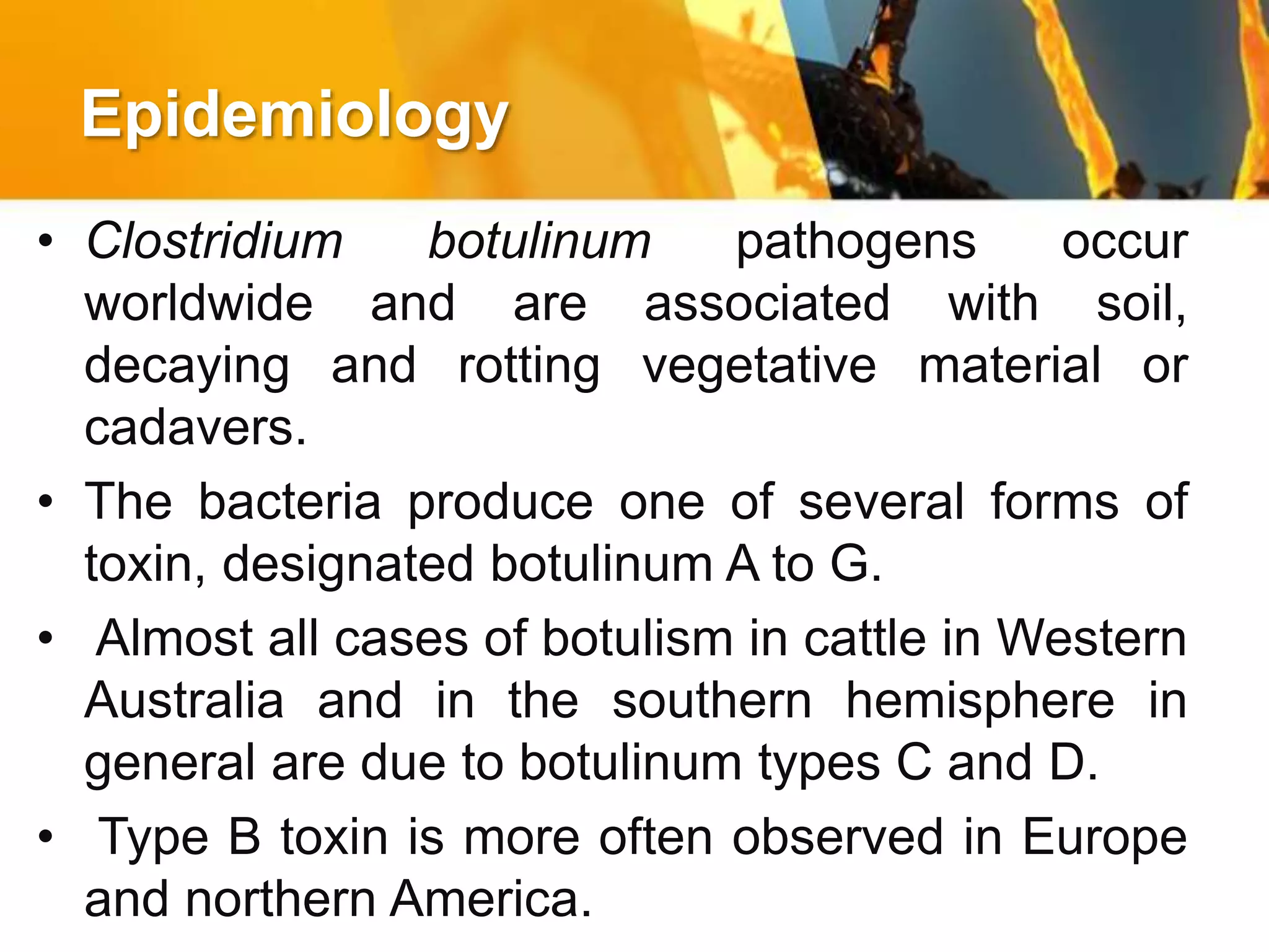 Botulism in Cattle | PPTX