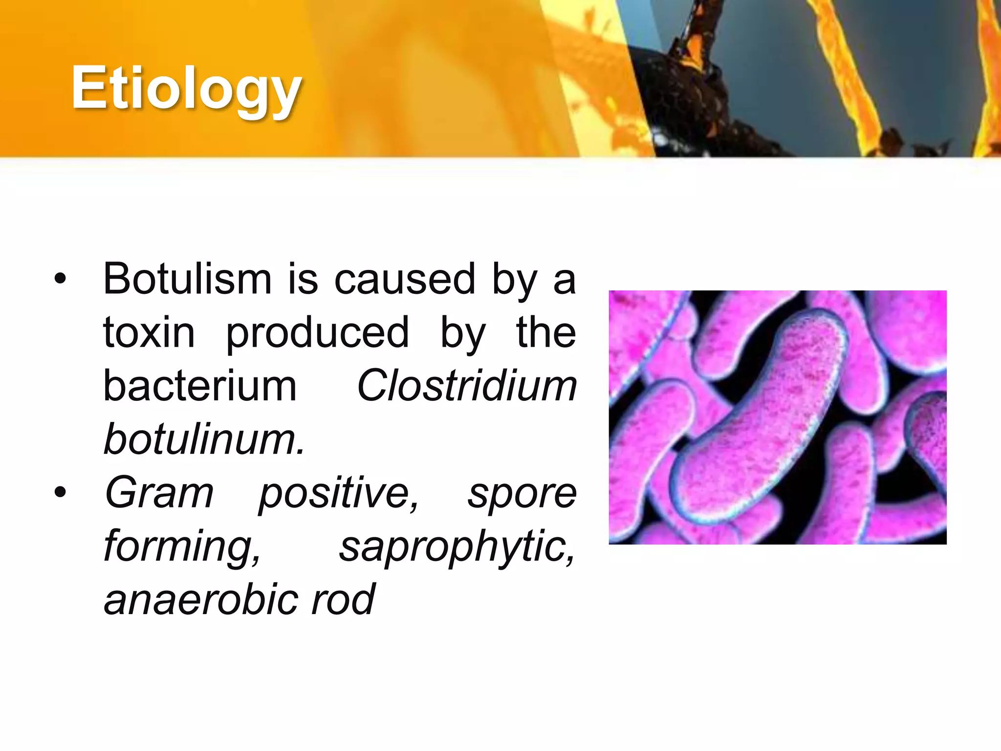 Botulism in Cattle | PPTX
