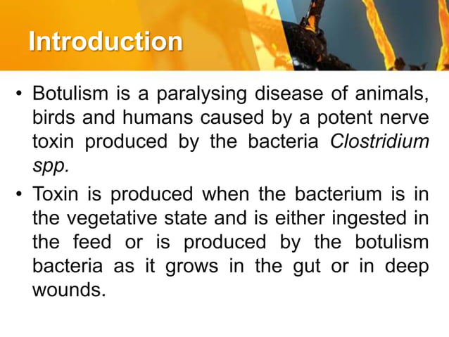 Botulism in Cattle | PPTX | Diseases and Conditions | Medical Health