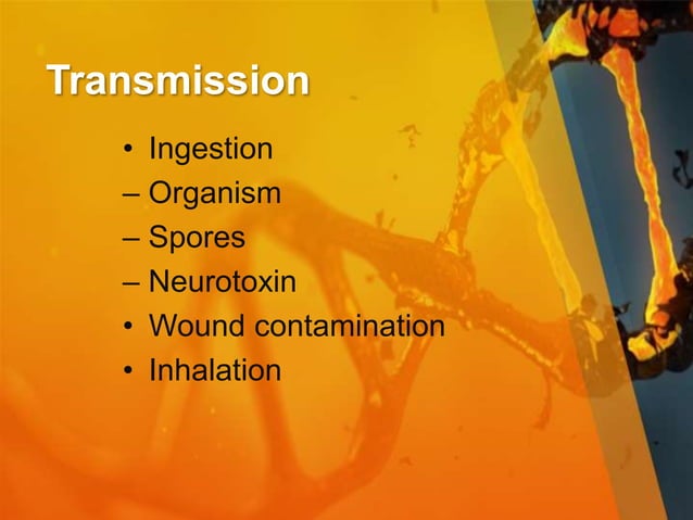 Botulism in Cattle | PPTX | Diseases and Conditions | Medical Health