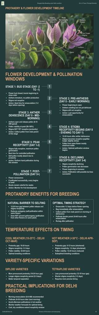 Bougainvillea breeding guide for Researchers | PDF
