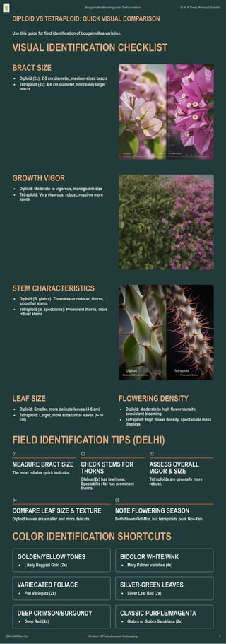 Bougainvillea breeding guide for Researchers | PDF