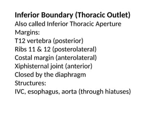 Boundaries of thoracic - Ankitha sharon.pptx
