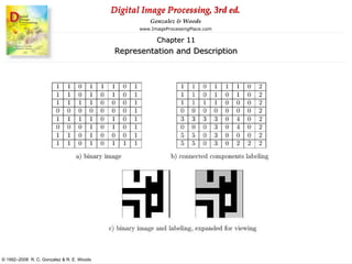 Boundary respresentation and descriptors.ppt