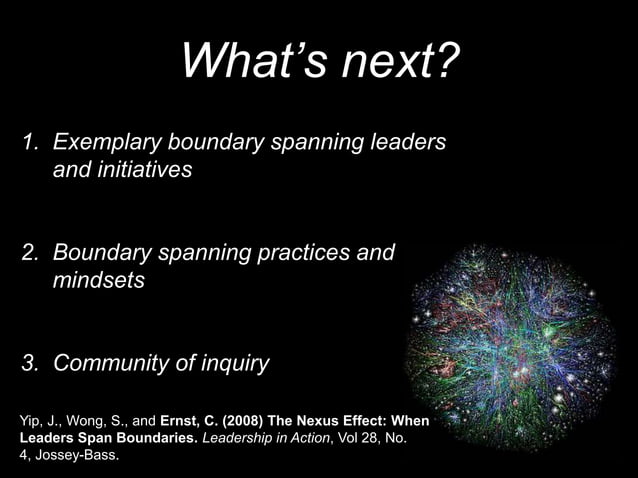 Boundary Spanning Leadership Jeff08 | PPT