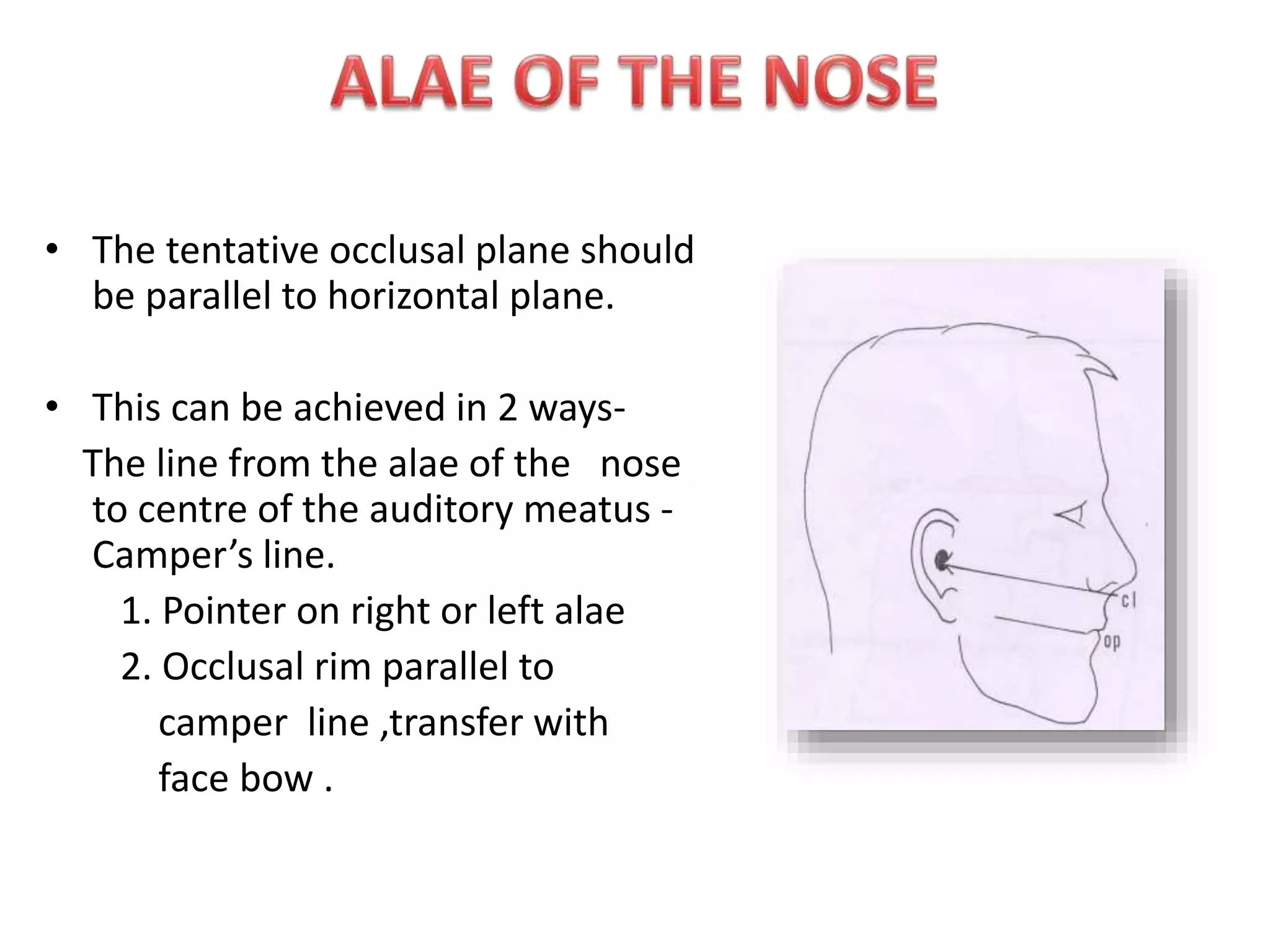 orientation jaw relation | PPTX