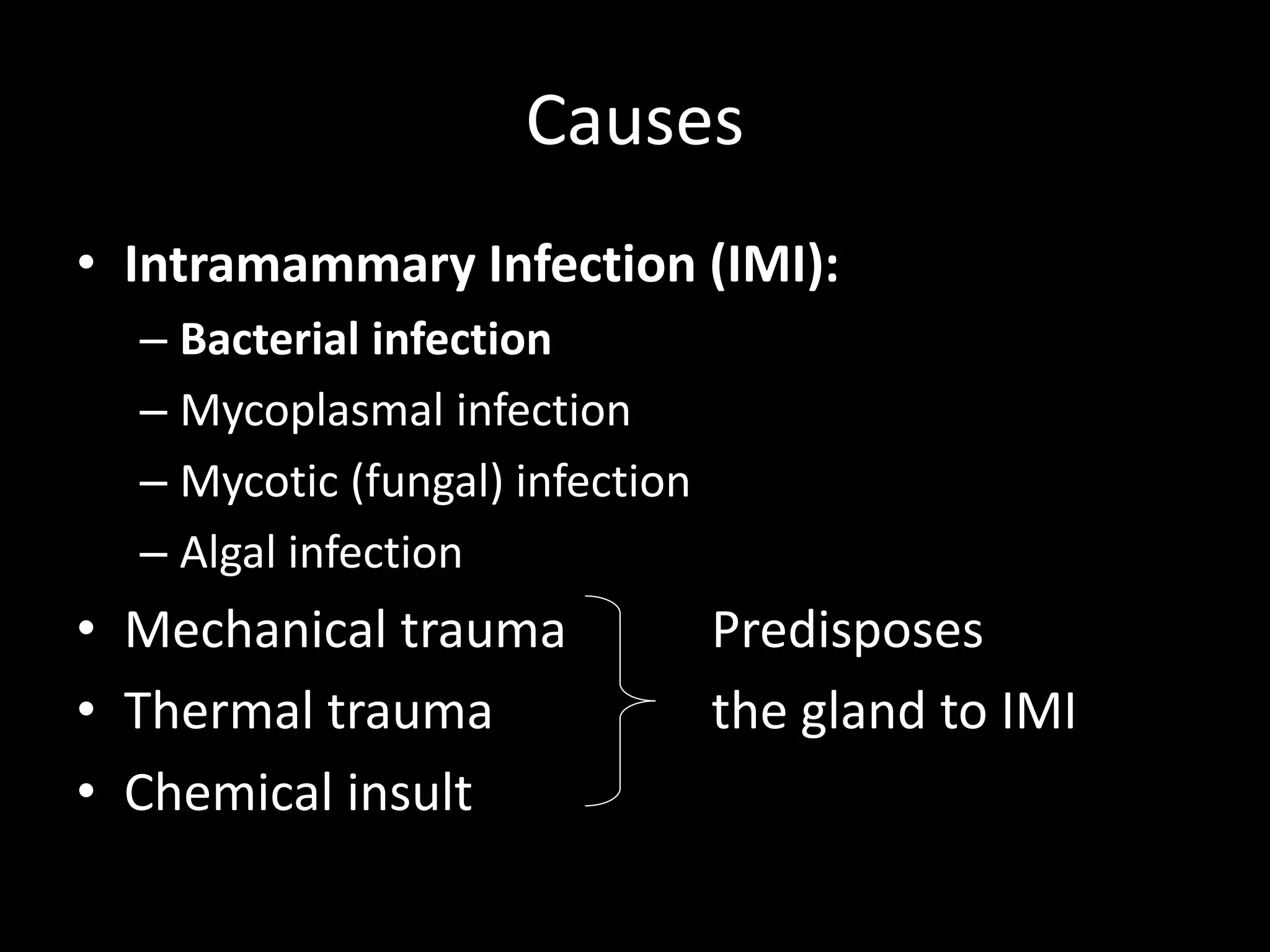 Mastitis in Cattles, Mammary Inflammation in Large Ruminants | PPT