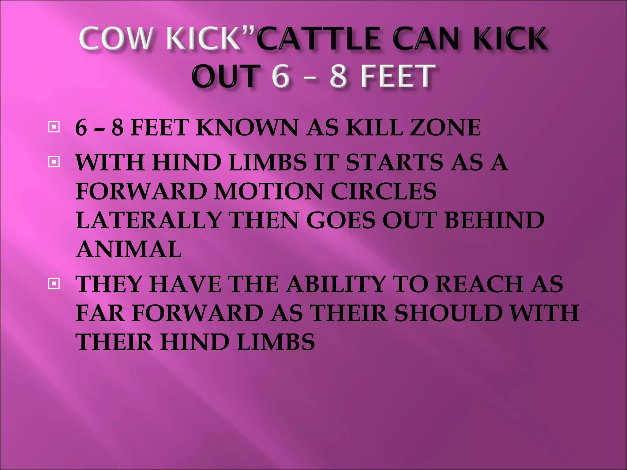 Bovine 1 Restraint And Handling 2009 | PPT