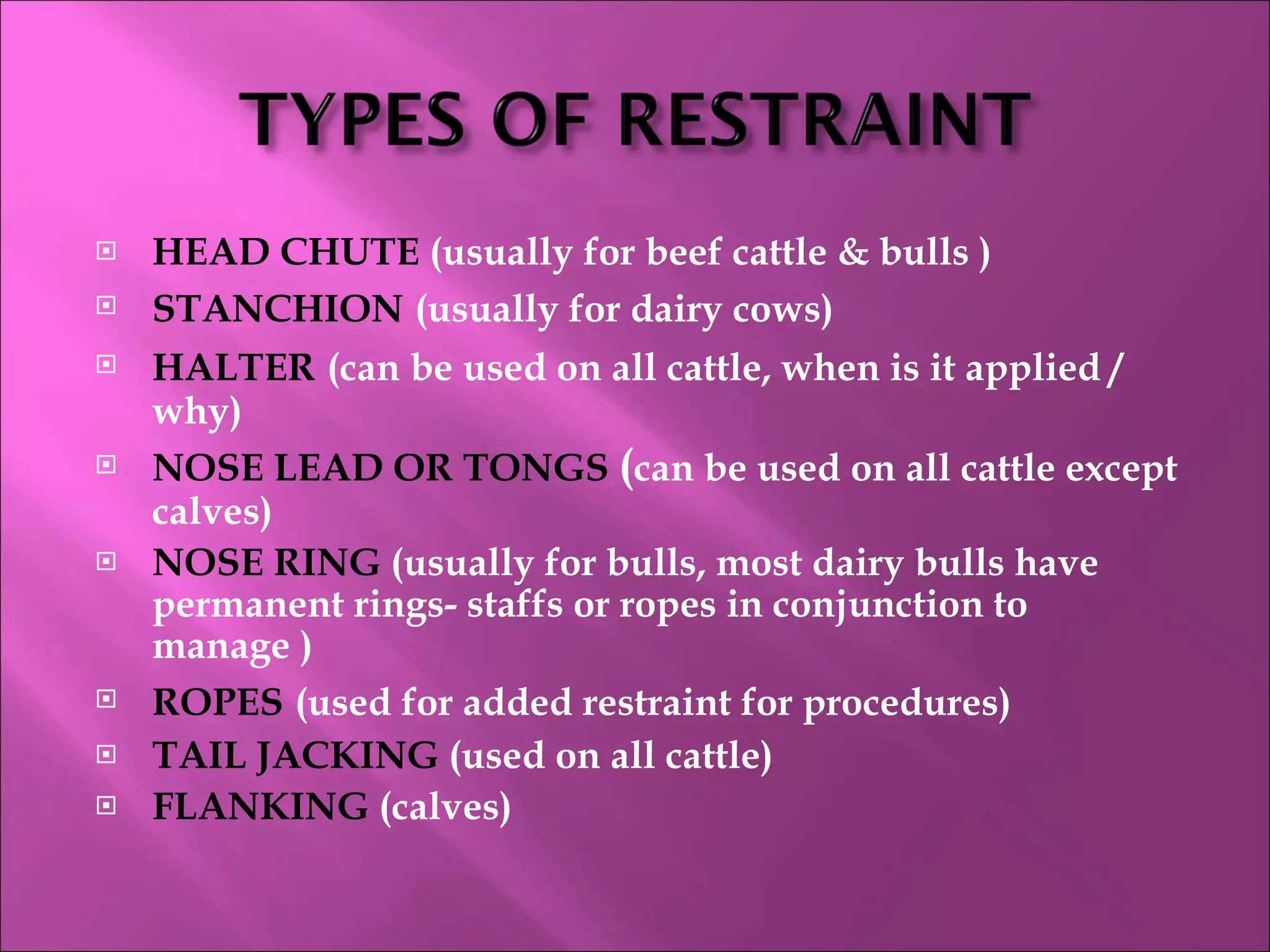 Bovine 1 Restraint And Handling 2009 | PPT