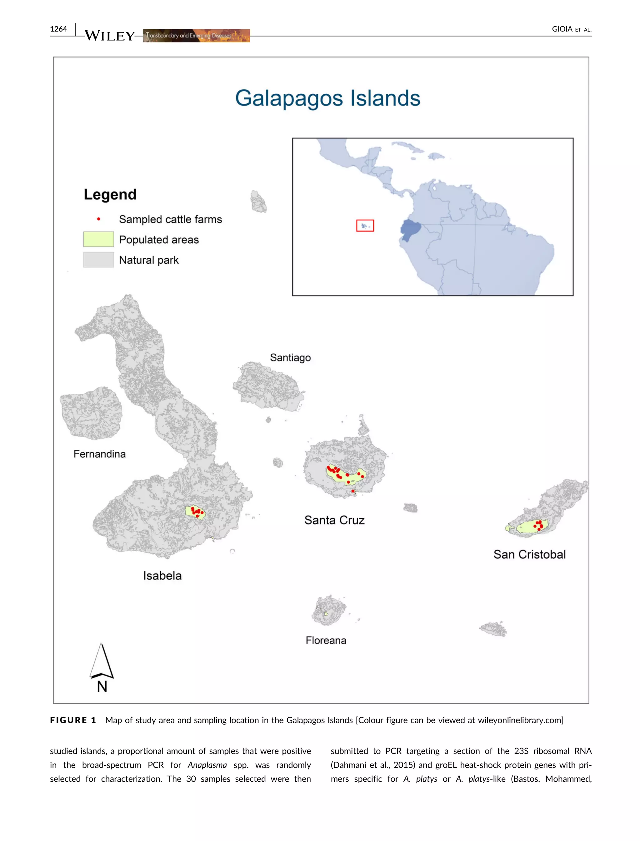Bovine anaplasmosis and tick borne pathogens in cattle of the galapagos ...