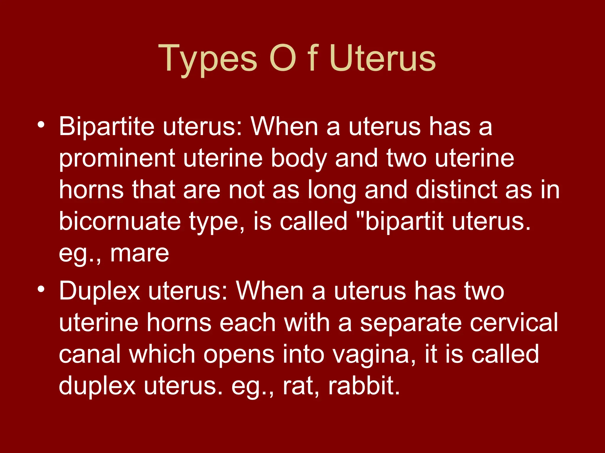 Bovine Biometery feamle reproductive anatomy and physiology.ppt