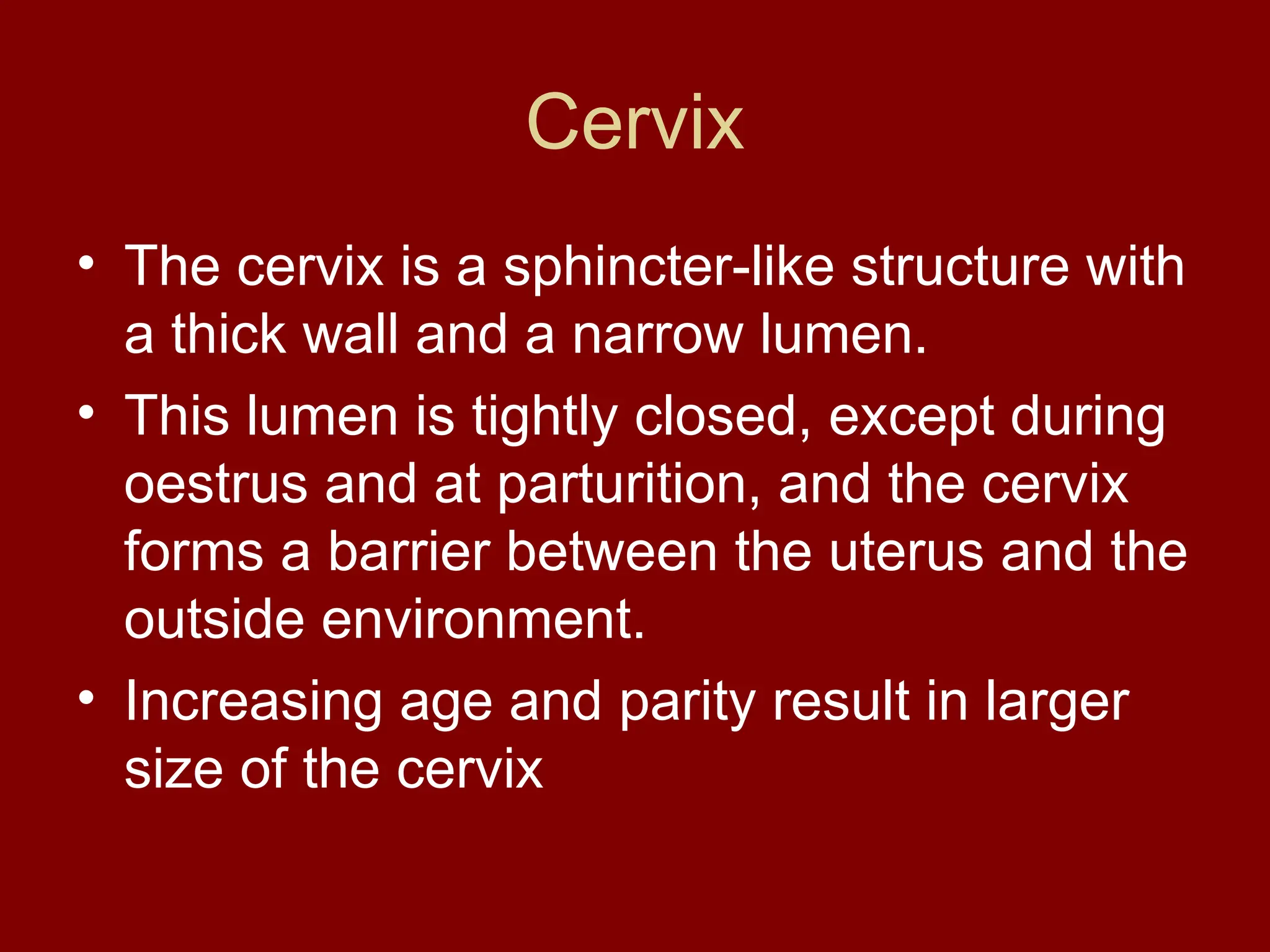 Bovine Biometery feamle reproductive anatomy and physiology.ppt