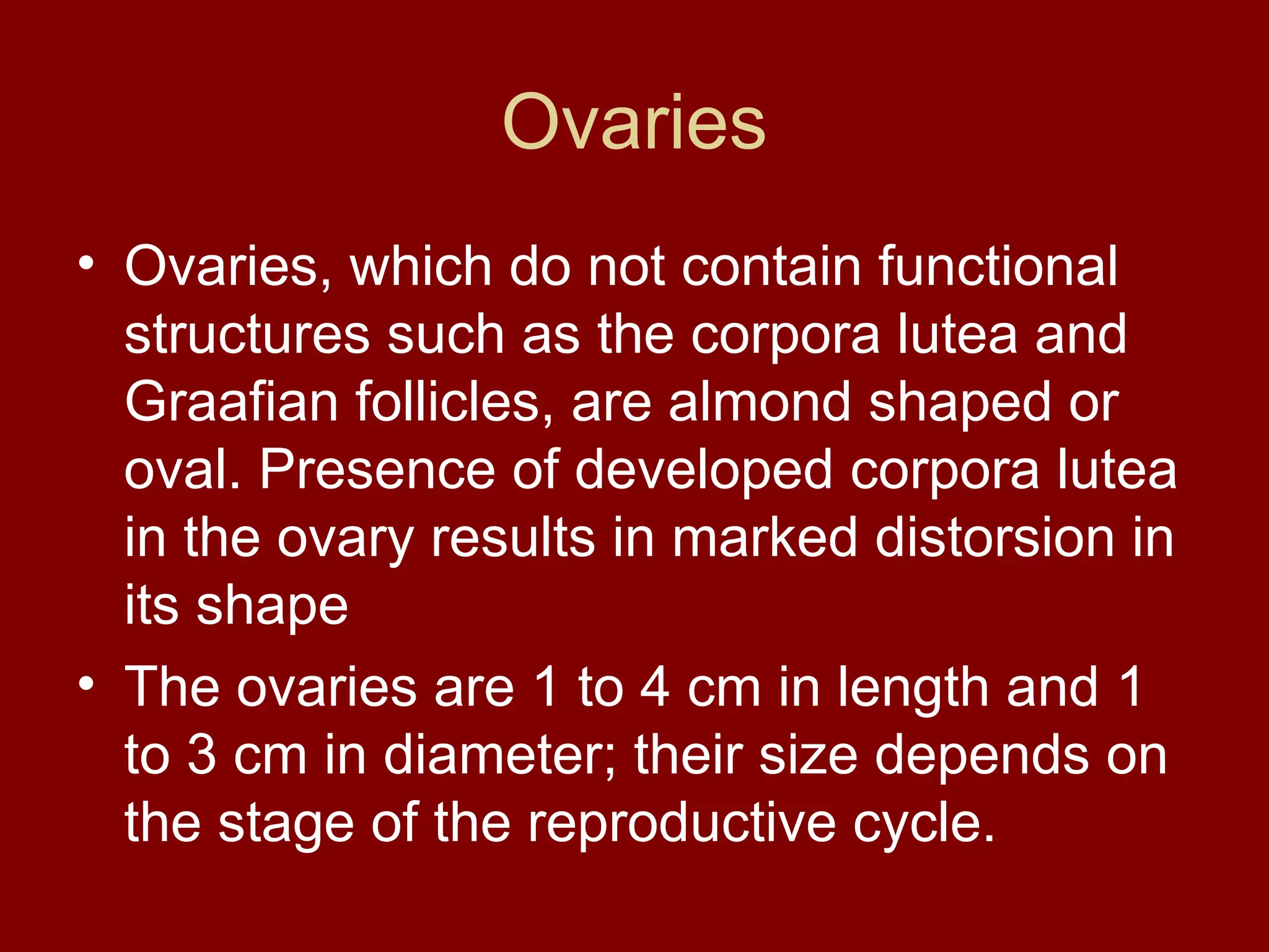 Bovine Biometery feamle reproductive anatomy and physiology.ppt