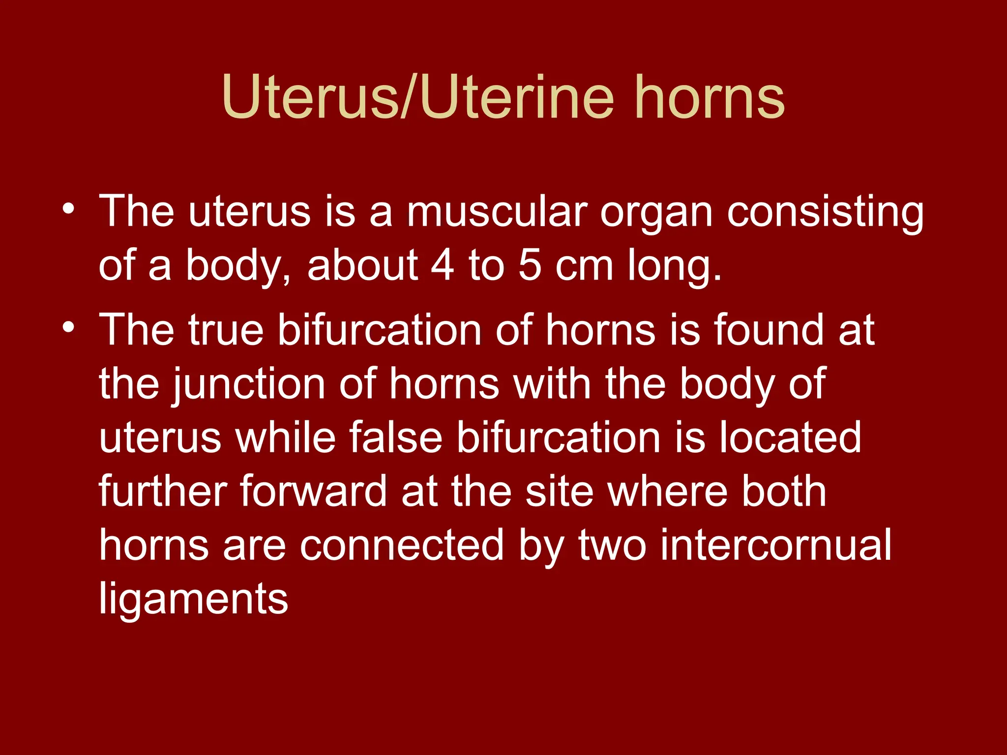 Bovine Biometery feamle reproductive anatomy and physiology.ppt