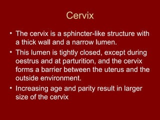 Bovine Biometery feamle reproductive anatomy and physiology.ppt