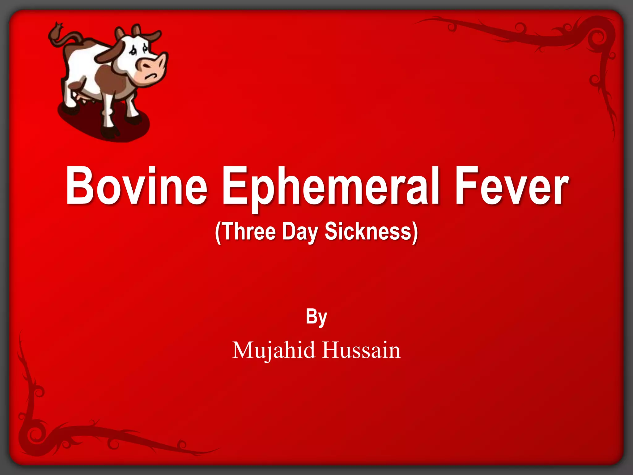 Bovine ephemeral fever | PPTX