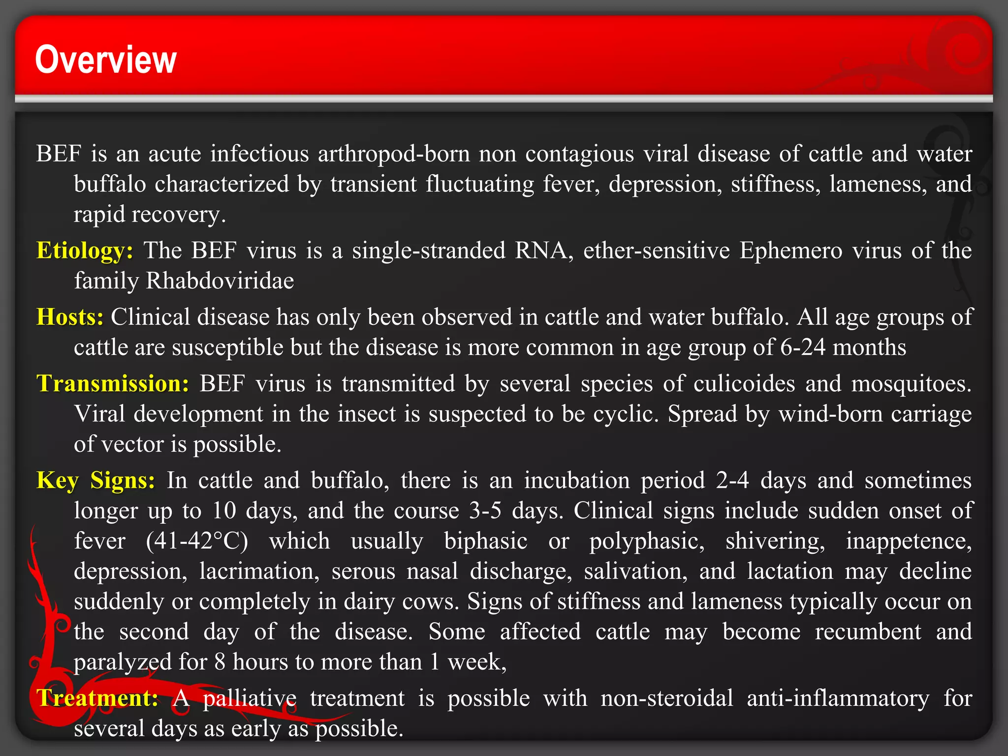 Bovine ephemeral fever | PPTX
