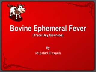 Bovine ephemeral fever | PPTX