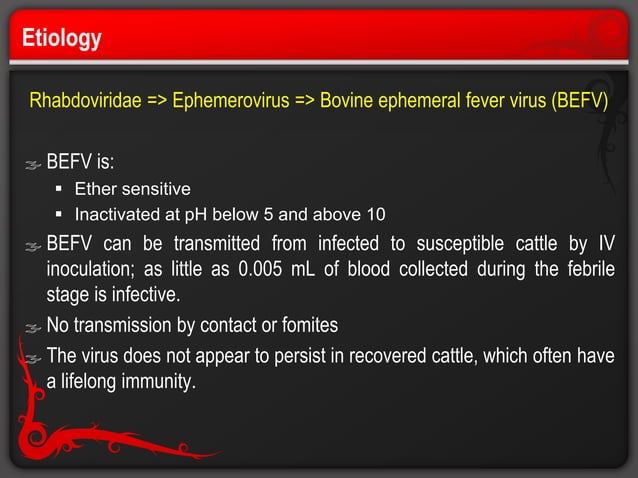 Bovine ephemeral fever | PPTX | Infectious Diseases | Diseases and ...