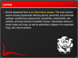 Bovine ephemeral fever | PPTX