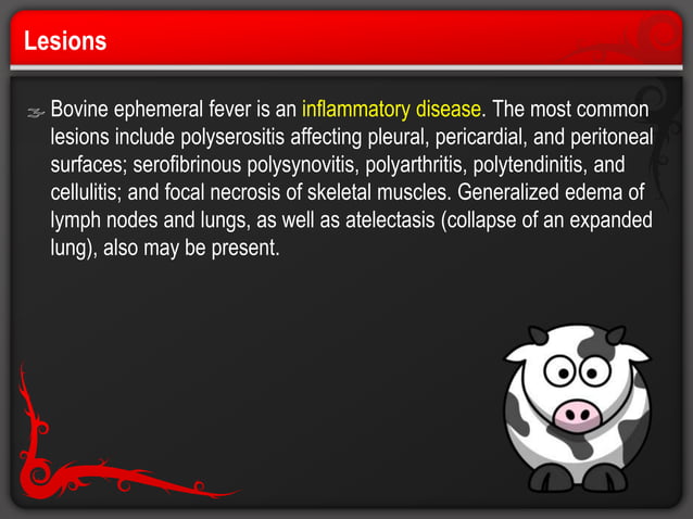 Bovine ephemeral fever | PPTX | Infectious Diseases | Diseases and ...