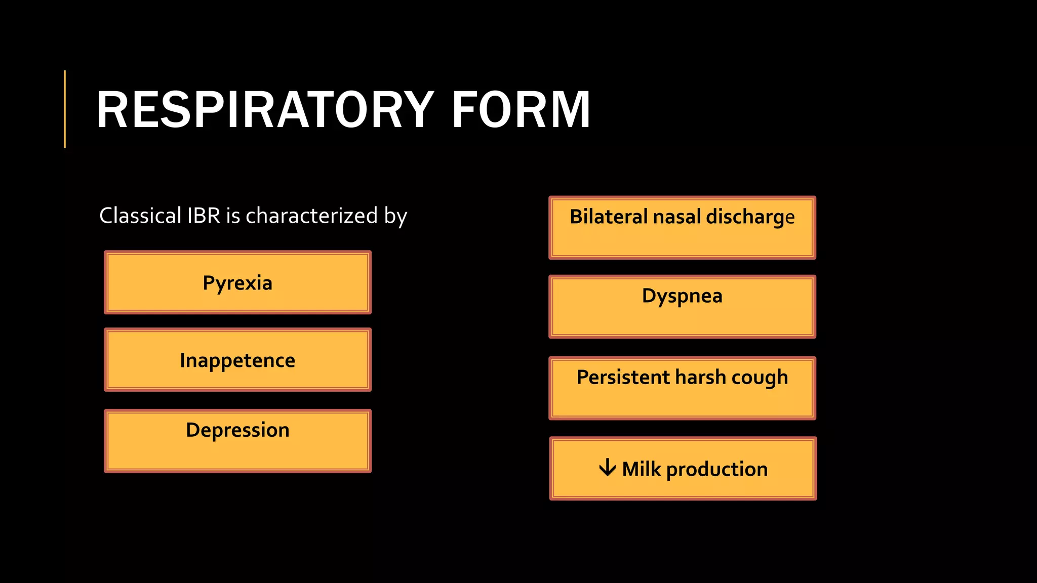 Bovine herpes virus 1 affections -(Infectious bovine rhinotracheitis ...
