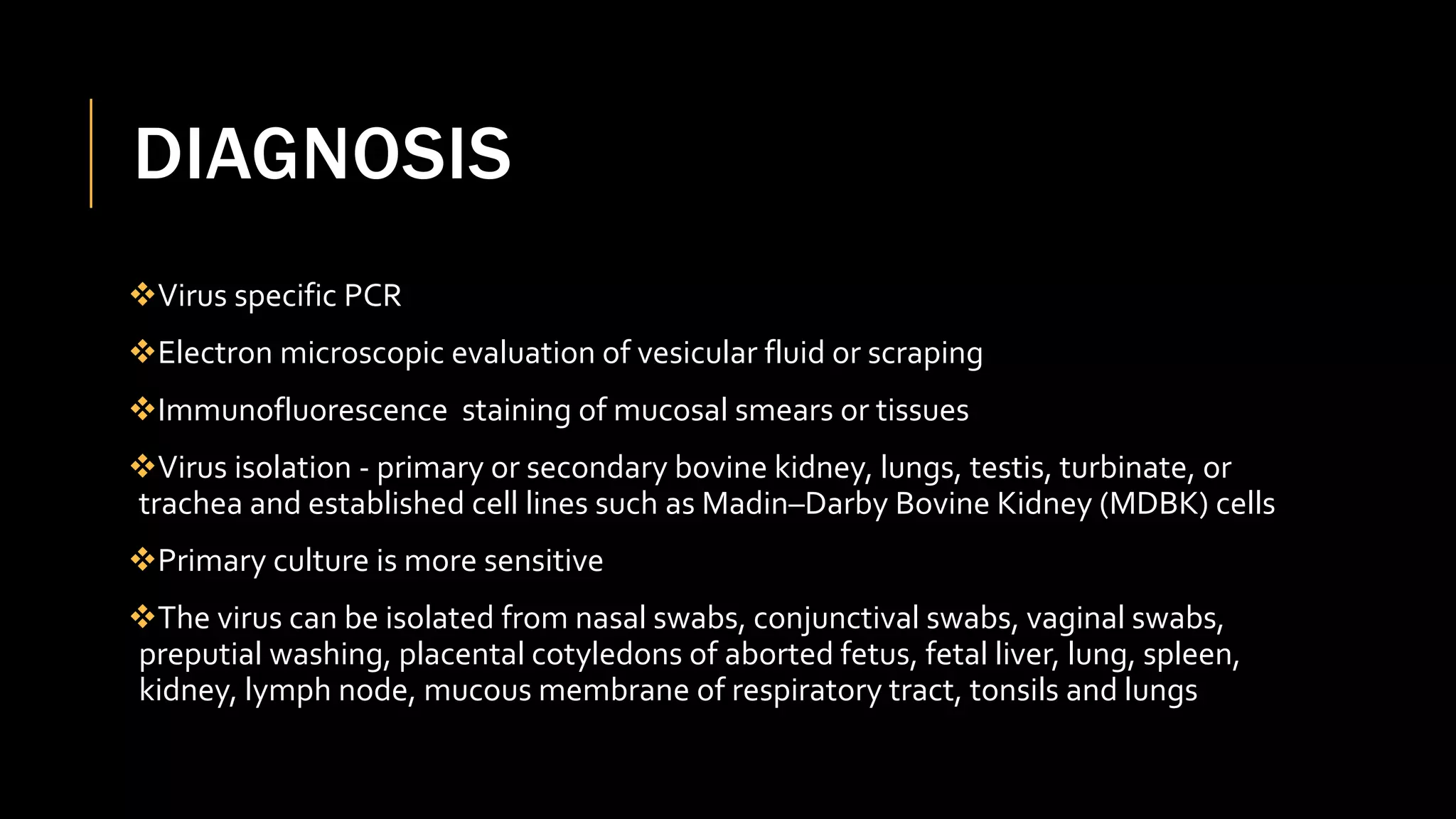 Bovine herpes virus 1 affections -(Infectious bovine rhinotracheitis ...