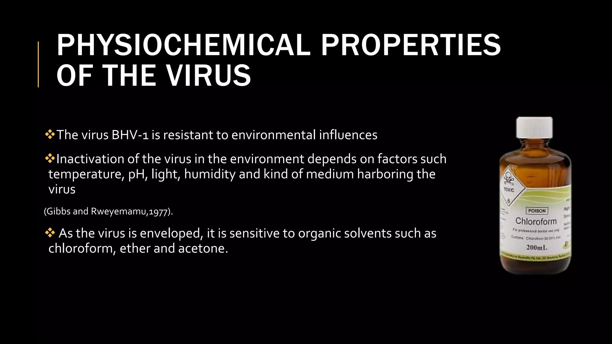 Bovine herpes virus 1 affections -(Infectious bovine rhinotracheitis ...