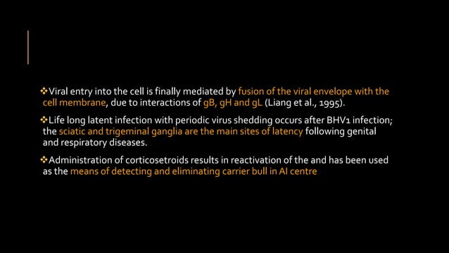 Bovine herpes virus 1 affections -(Infectious bovine rhinotracheitis ...