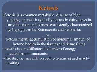 Bovine ketosis | PPTX