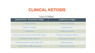 bovine ketosis-3.pptx gives an overall view about Bovine ketosis | PPTX
