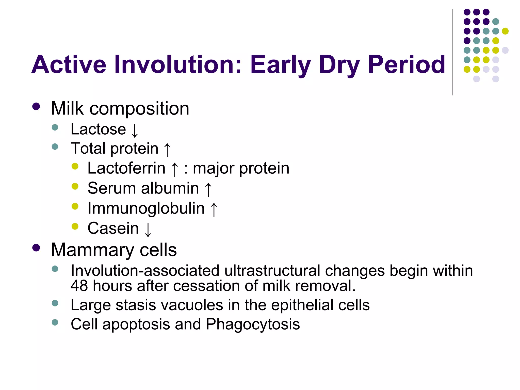Bovine mammary gland | PPT