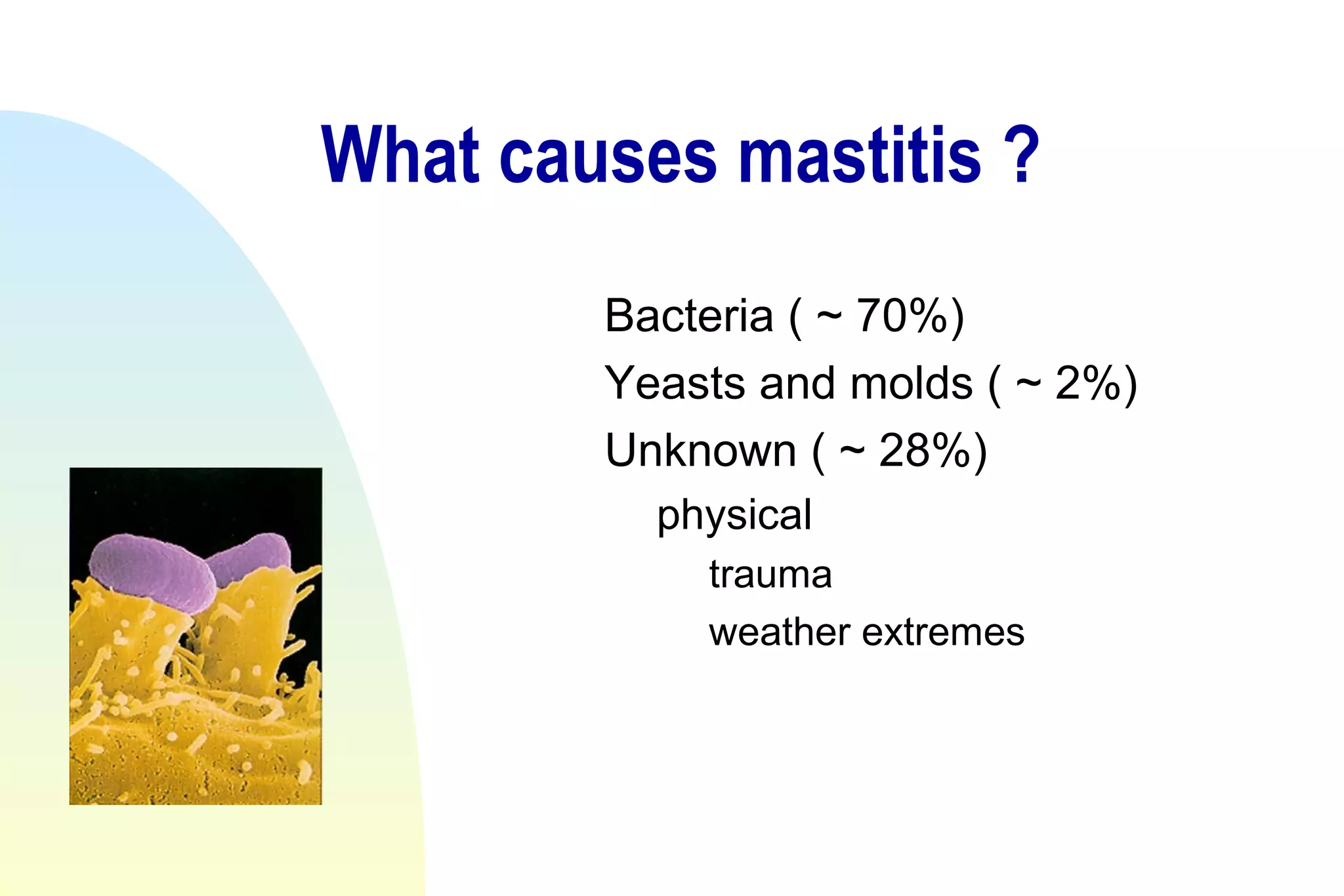 Bovine mastitis | PPT