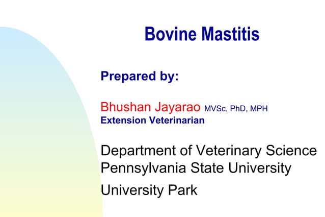 Bovine mastitis | PPT