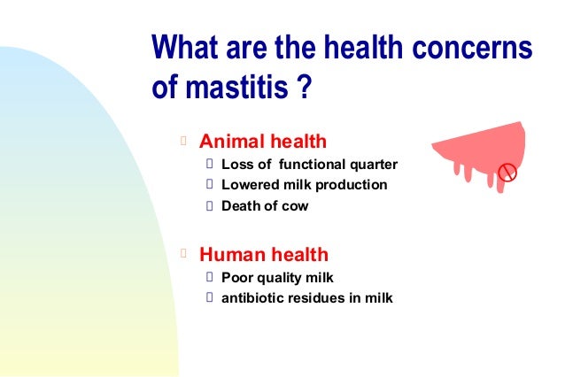Bovine mastitis