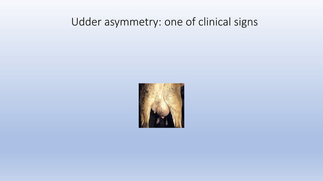 Bovine Mastitis mechanism pathogenesis prevention care and treatment ...
