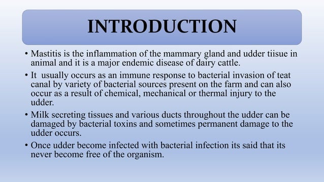 Bovine Mastitis mechanism pathogenesis prevention care and treatment ...