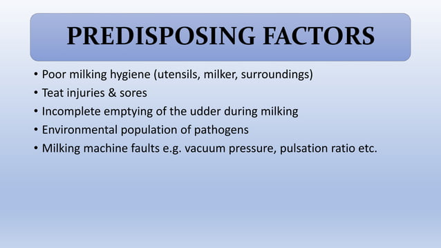 Bovine Mastitis mechanism pathogenesis prevention care and treatment ...