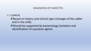 Bovine Mastitis mechanism pathogenesis prevention care and treatment ...
