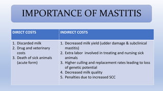 Bovine Mastitis mechanism pathogenesis prevention care and treatment ...