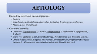 Bovine Mastitis mechanism pathogenesis prevention care and treatment ...
